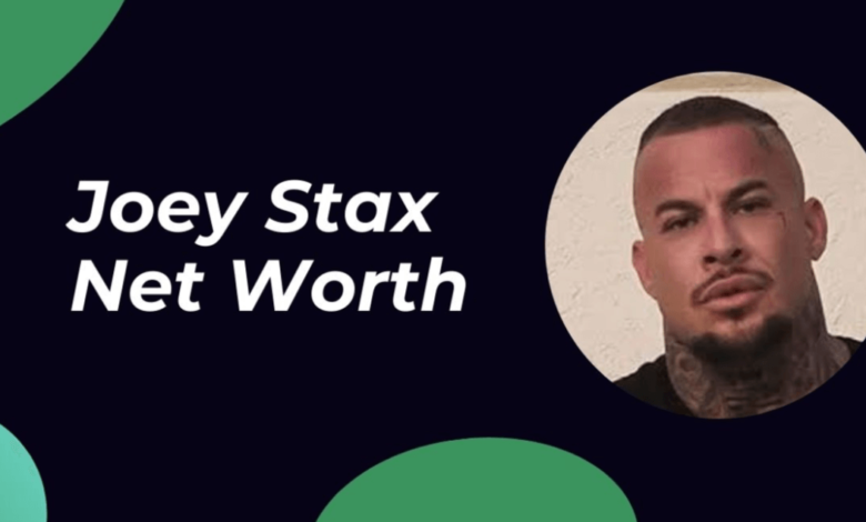 Joey Stax Net Worth: How Much Does Joey Stax Make? - minarik pmu