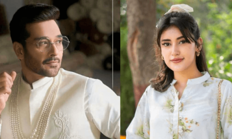 Zulm Drama Cast: Meet the Stars Behind the Story - minarik pmu